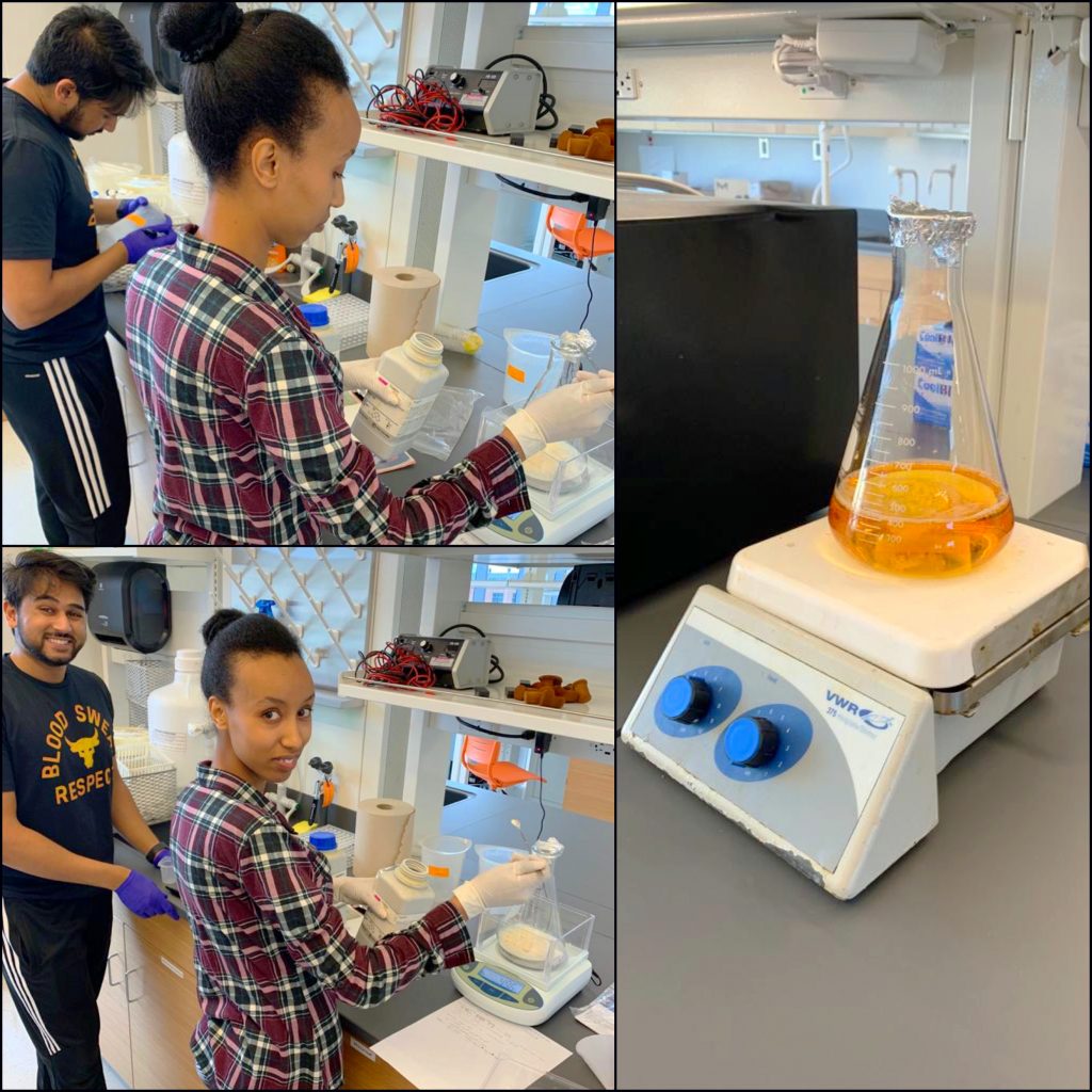Padmanabhan Lab - UMBC